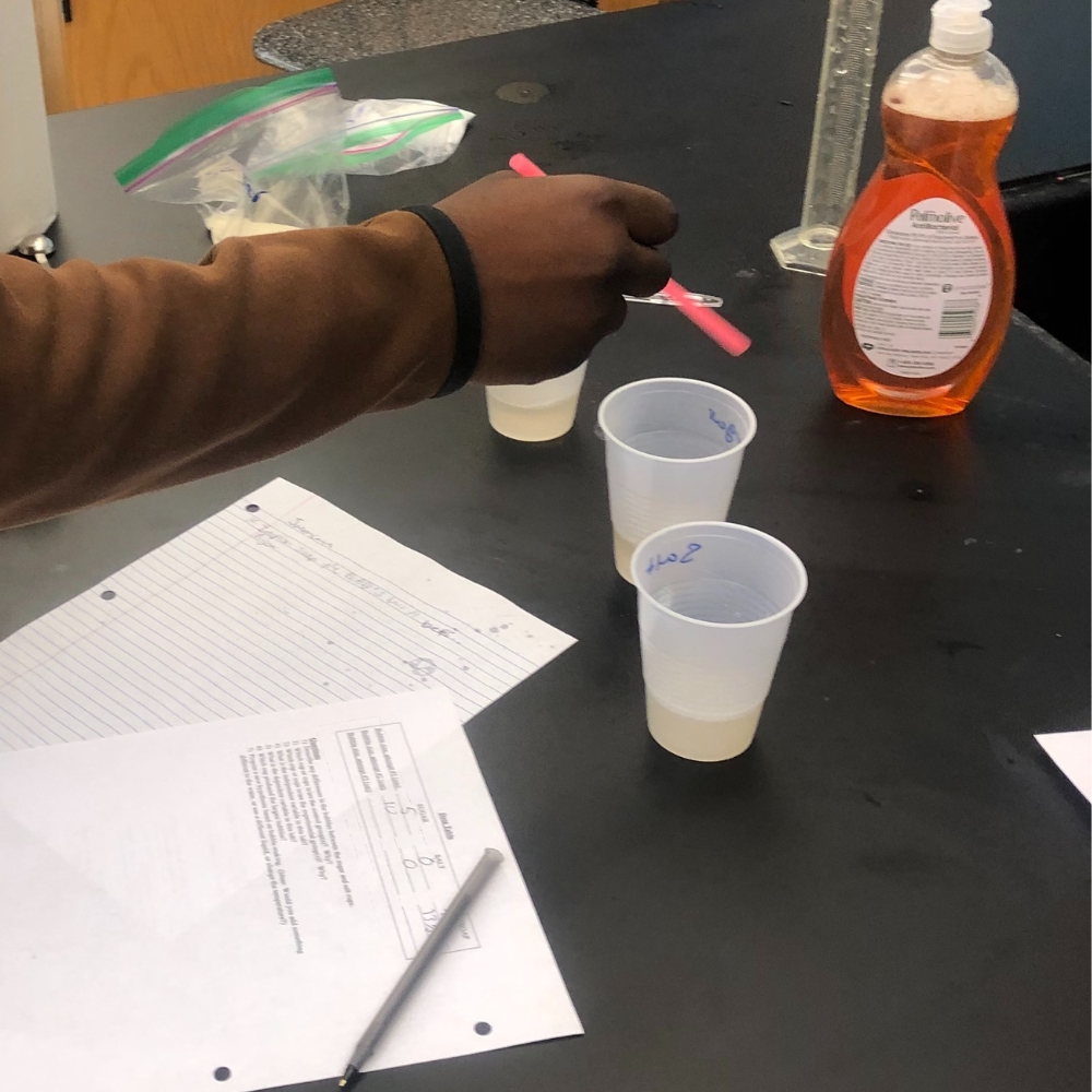 Bubble Lab in Living Environment | Hudson City School District