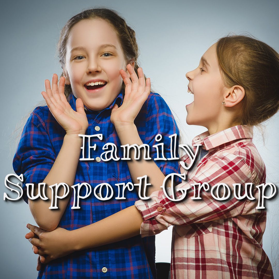NAMI Family Support Group 12/13 | Hudson City School District
